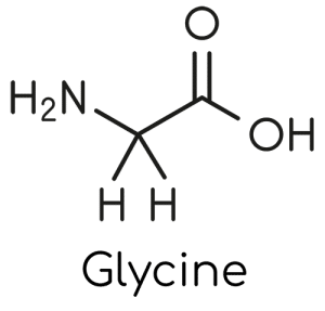 Glycine : caractéristiques et rôles biologiques - Nutrixeal Info Glycine : caractéristiques et rôles biologiques - Nutrixeal Info